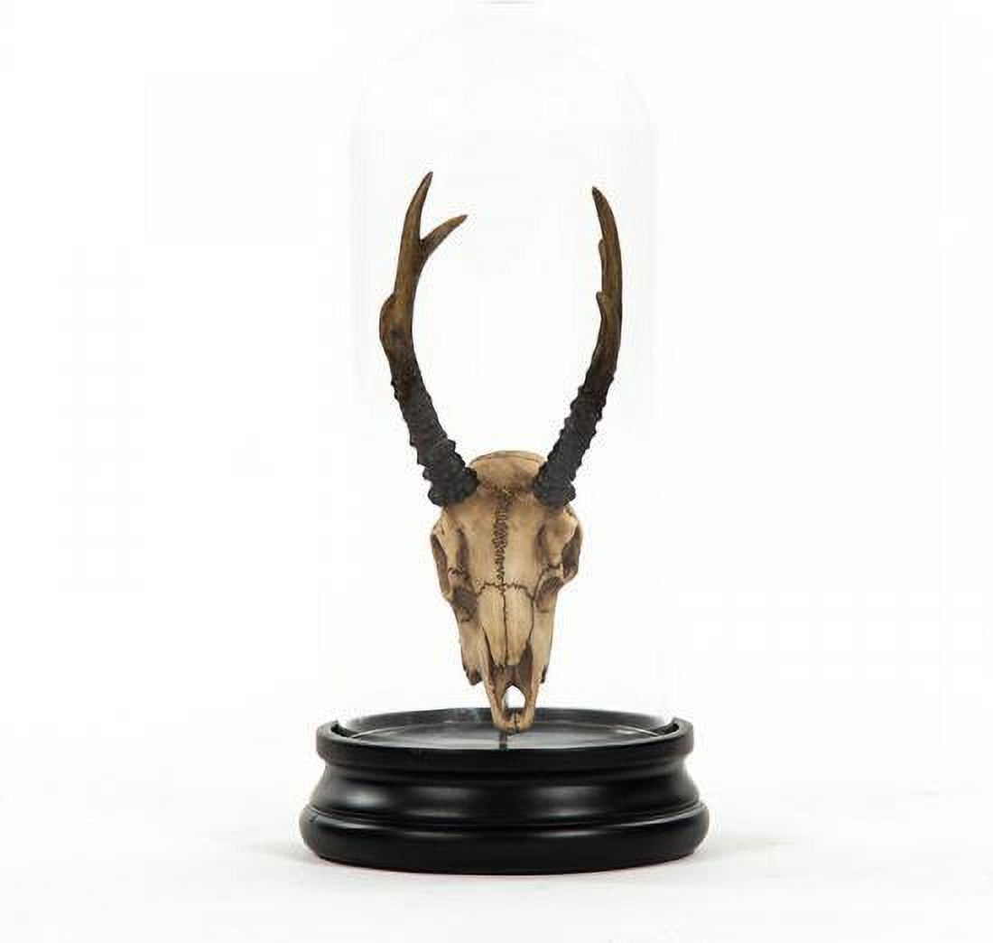 Wall Decor Art Fawn Skull Animal Glass Poly Resin - Walmart.com