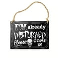 Wall Decor Indoor I'M Already Disturbed Sign - Walmart.com