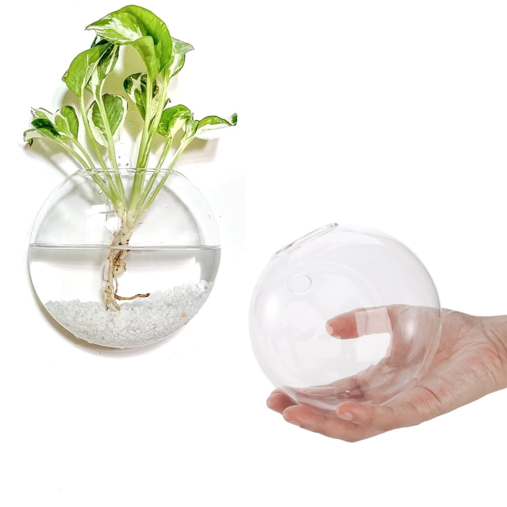 Wall Hanging Glass Planters GIXUSIL 2Pcs 5.12x2.36inch Spherical Shape ...
