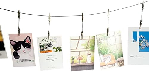 Wall Hanging Photo Display, DIY Picture Photo Frame String with 12 ...