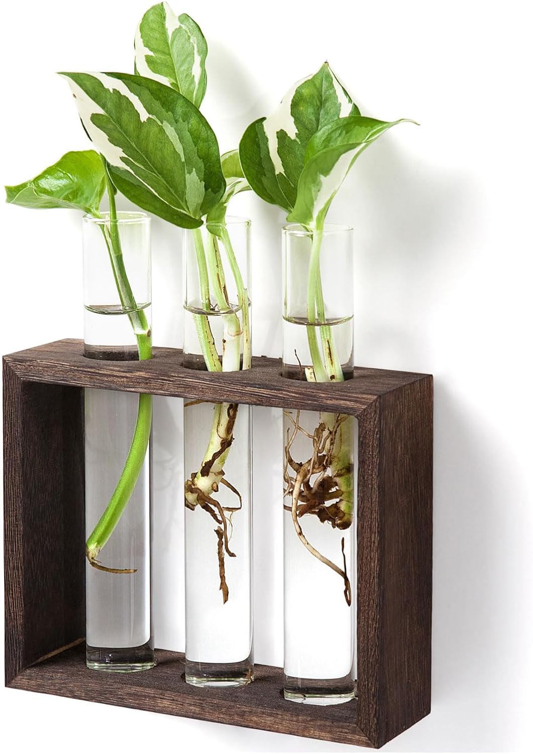 Wall Hanging Plant Propagation Glass Planter Station 3 Tubes with Wood ...