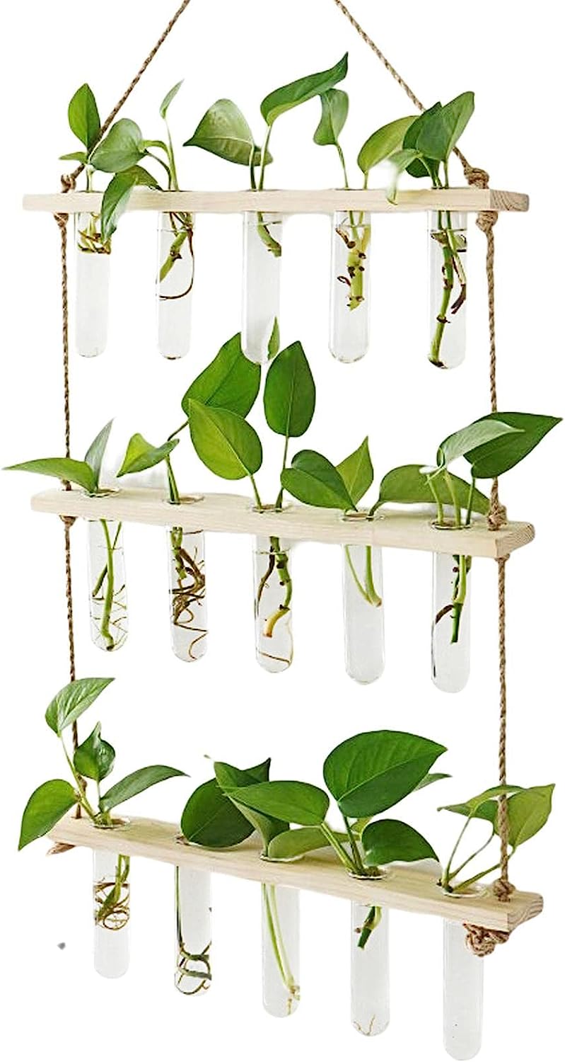 Wall Hanging Planter, Glass Garden Pots, Wall Planter Pot Hanging ...