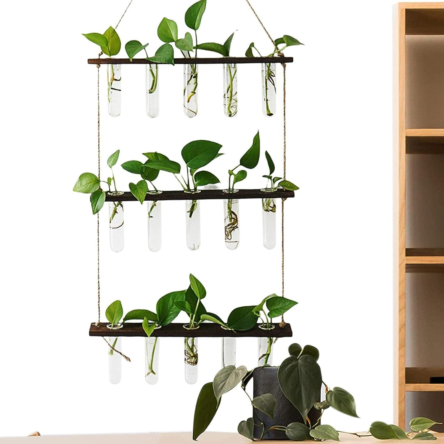 Wall Hanging Planter, Glass Garden Pots, Wall Planter Pot Hanging ...