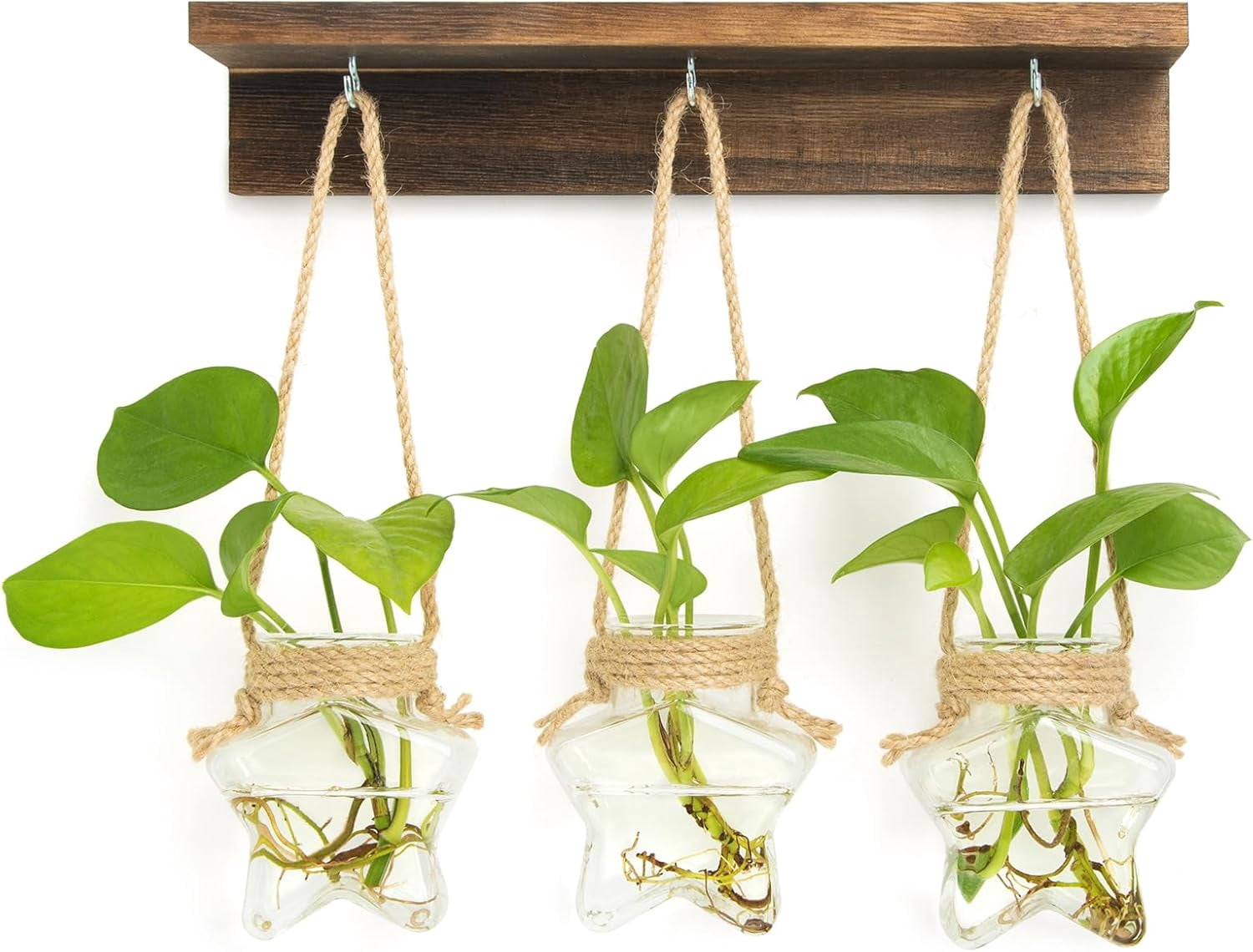 Wall Hanging Propagation Station with 3 Star-Shaped Glass Vase, Plants ...