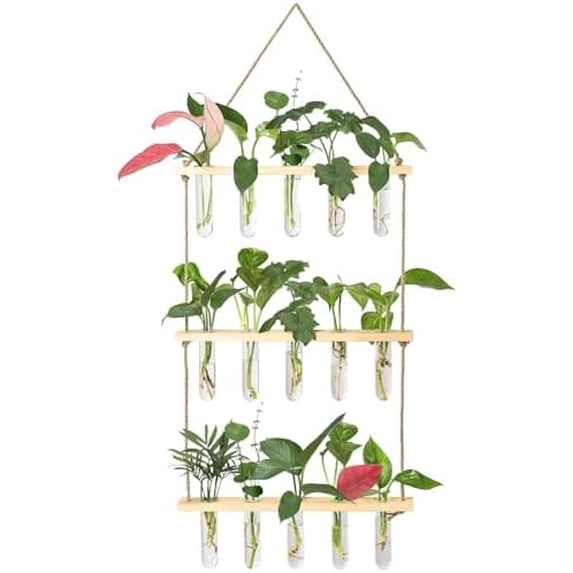Wall Hanging Propagation Station with Wooden Stand 5 Glass Test Tubes 3 ...