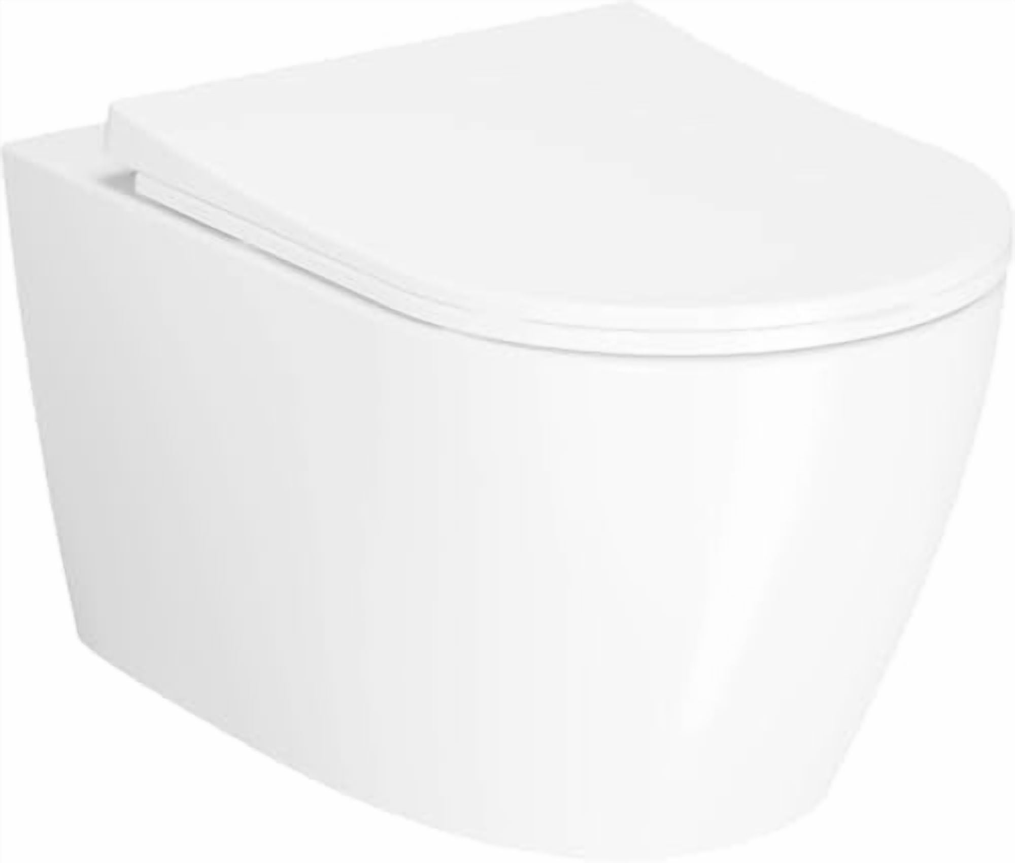 Wall Hung Toilet with Modern Wall Mounted Design, Soft Closing Seat ...