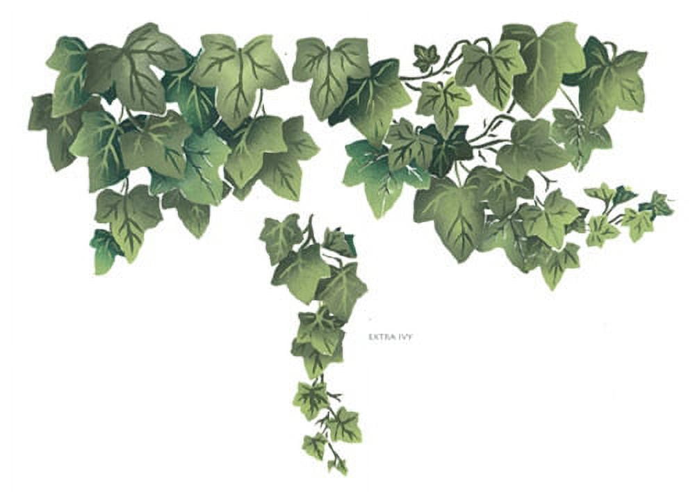 Wall Ivy Wall Stencil - DEE602 by DeeSigns - Walmart.com