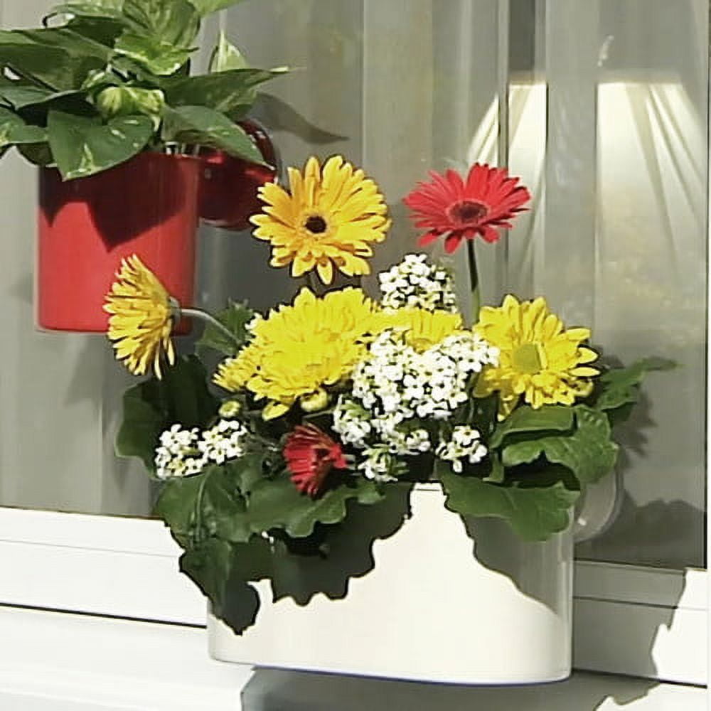 Wall Mates Push 'N Stay Suction Window Box Planter - Walmart.com