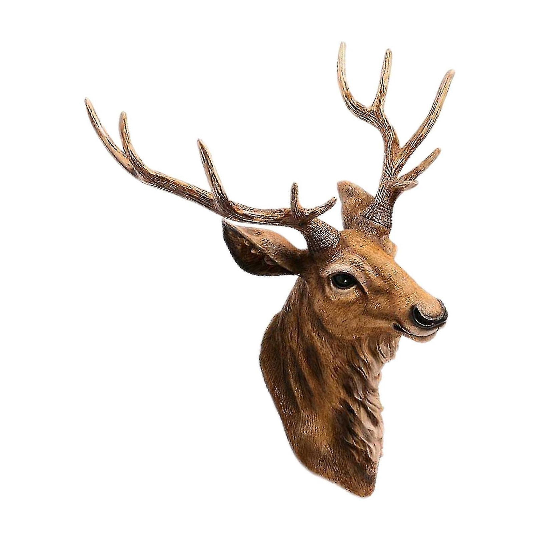 Buck Head