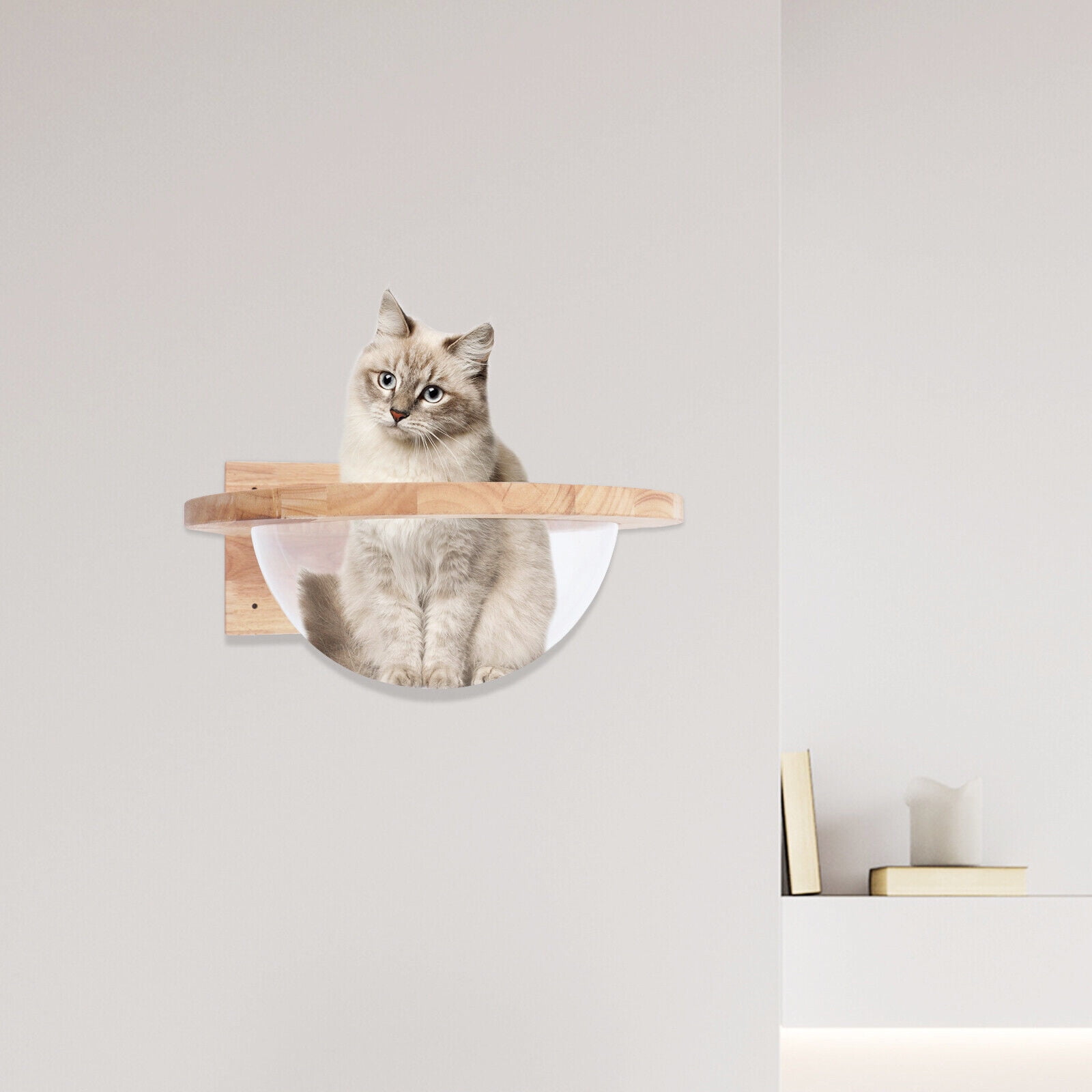 Wall Mounted Cat Climbing Frame House Climbing Frame Cat Toy Space ...