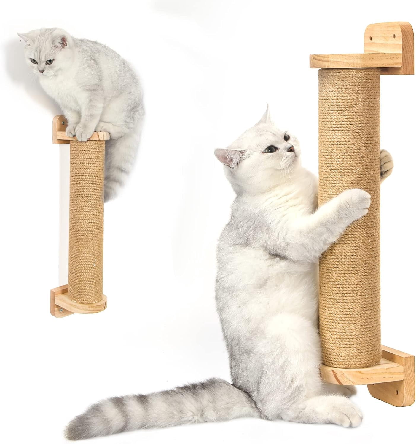 Wall Mounted Cat Scratching Posts for Cats and Kittens - Indoor Cat ...
