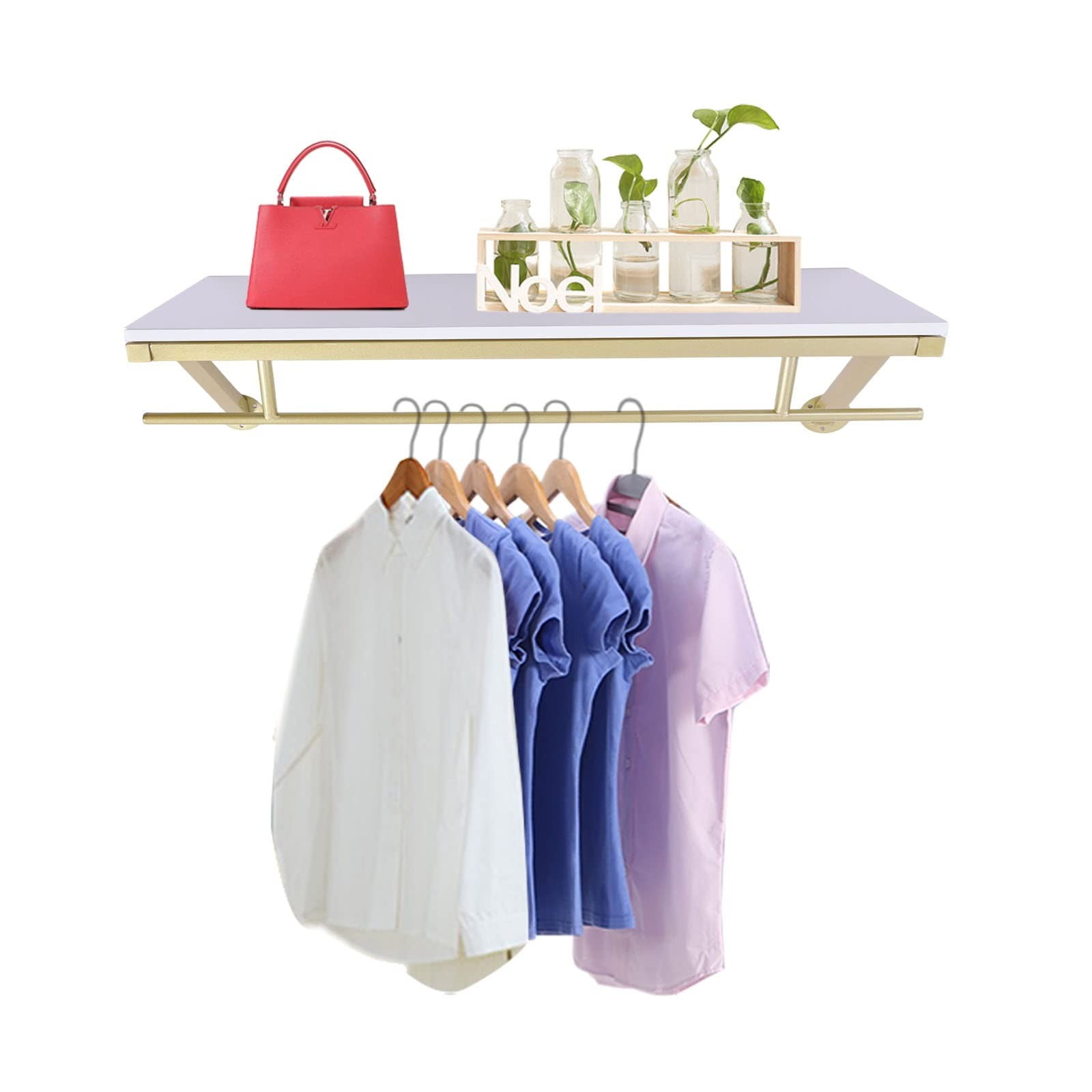 Wall Mounted Clothes Rack with Top Shelf Garment Rack Space-Saving ...
