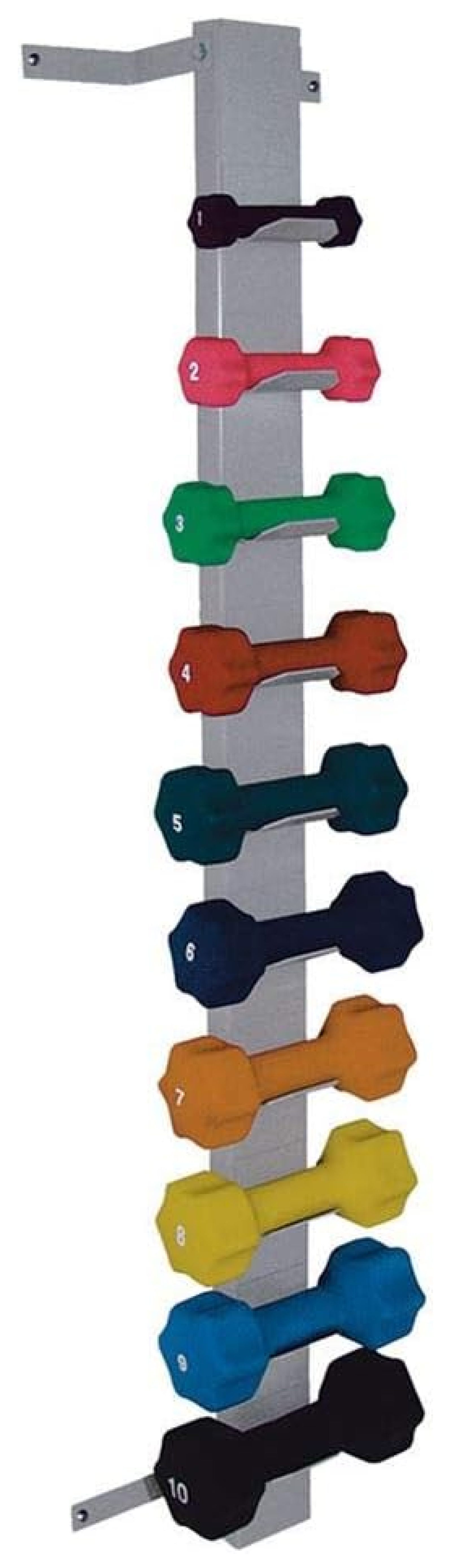 Wall Mounted Metal Dumbell Rack, 1 Pound - Walmart.com