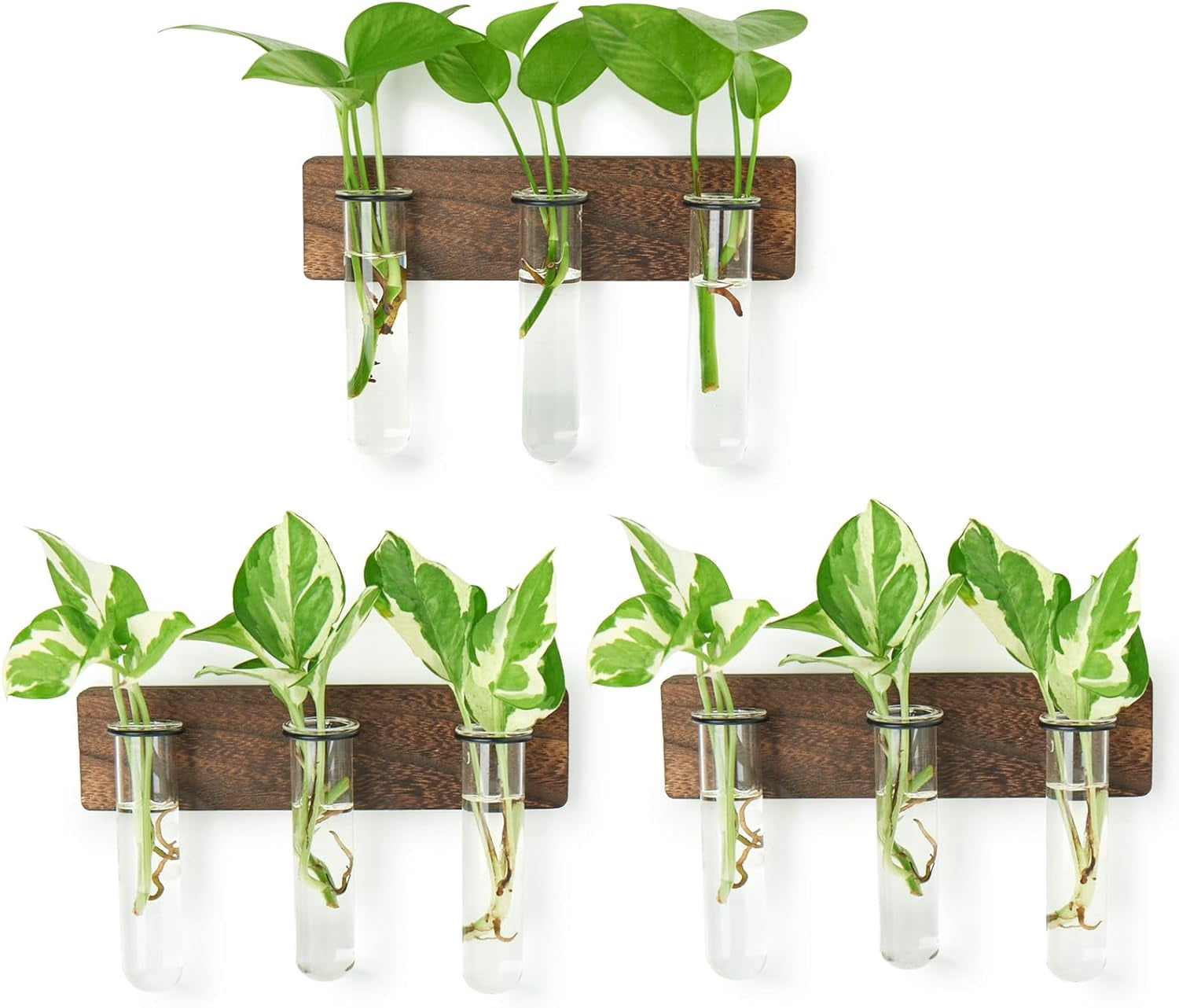 Wall Mounted Plant Terrarium with Wooden Stand 3 PCS Hanging Planter ...