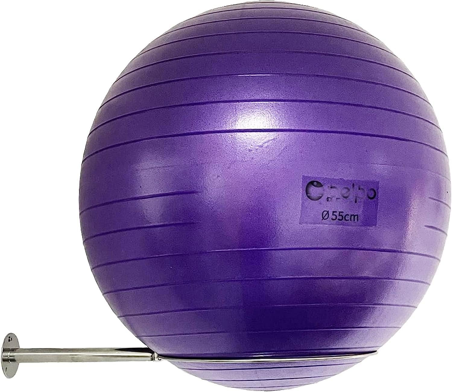 Wall Mounted Stainless Steel Exercise Ball Holder, Sturdy Yoga Ball ...