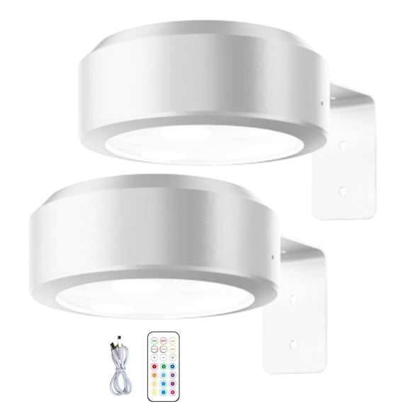 Wall-Mounted Wireless Picture Light with Remote - Dimmable, 13-Color ...