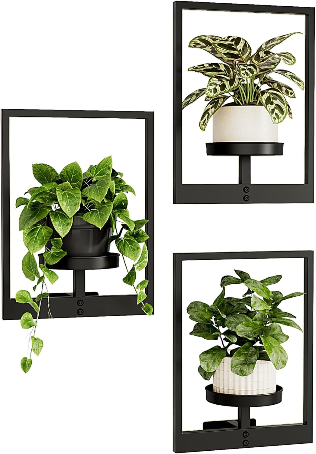Wall Planters for Indoor Plants Hanging Planter for Indoor Plants Plant ...