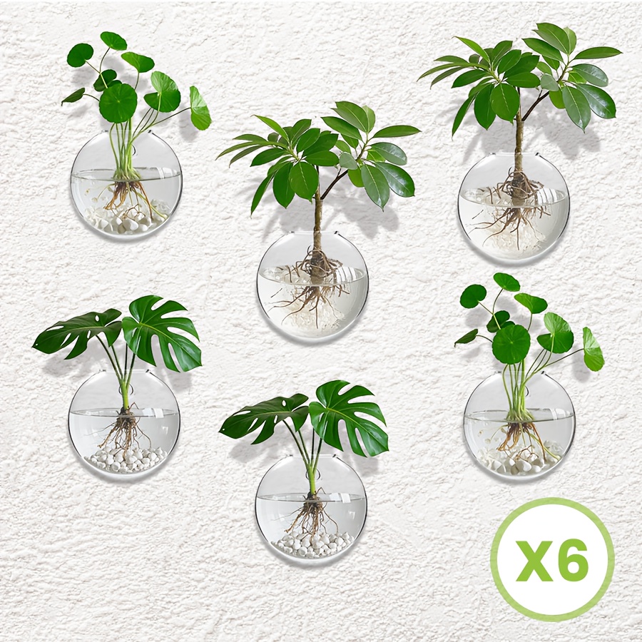 Wall Planters for Indoor Plants, Wall Planter, Plant Propagation ...