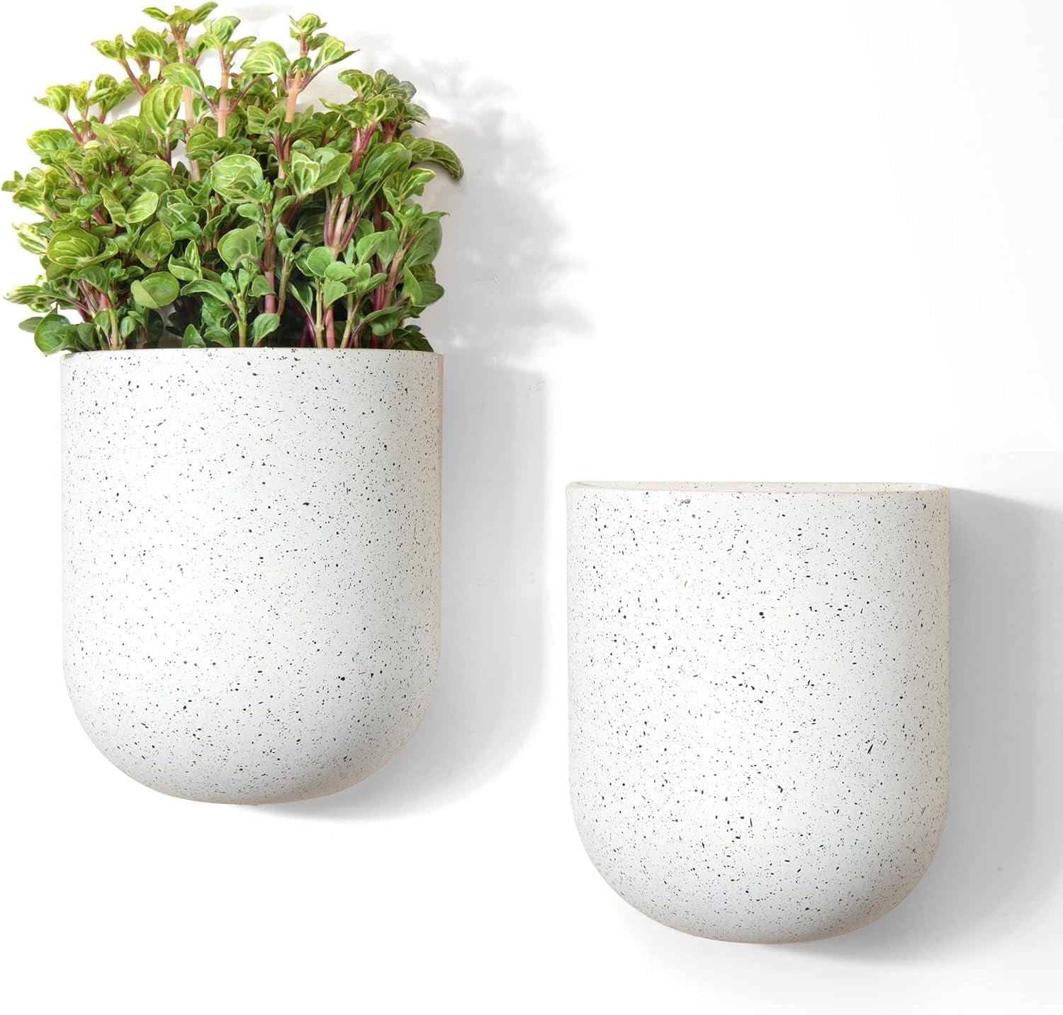 Wall Pnters for Indoor Pnts, Flower Pots for Air Pnts Succulent, Set of ...