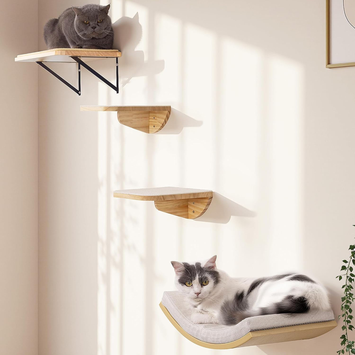 Wall Shelves and Cats Window Perch - 4- Set with -Padded Curved Bed and ...