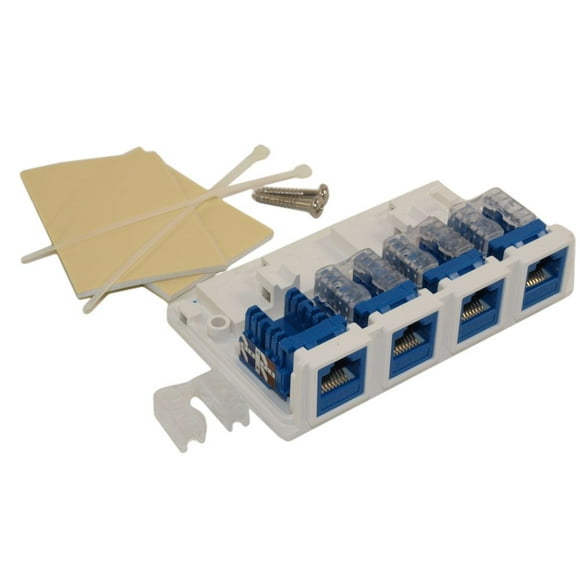 Rj45 Biscuit Jack