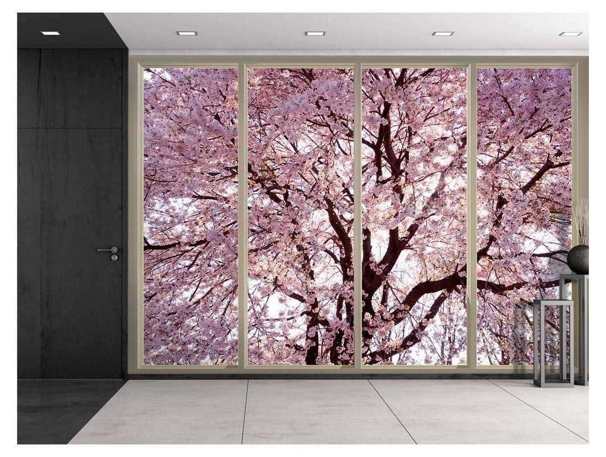 Wall26 - Branches Filled with Pink Cherry Blossom Flowers Viewed from ...