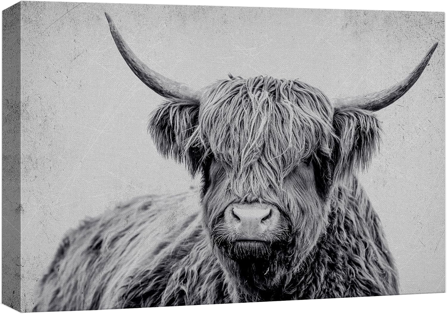 Wall26 Canvas Print Wall Art Black & White Shetland Cow Portrait Nature ...