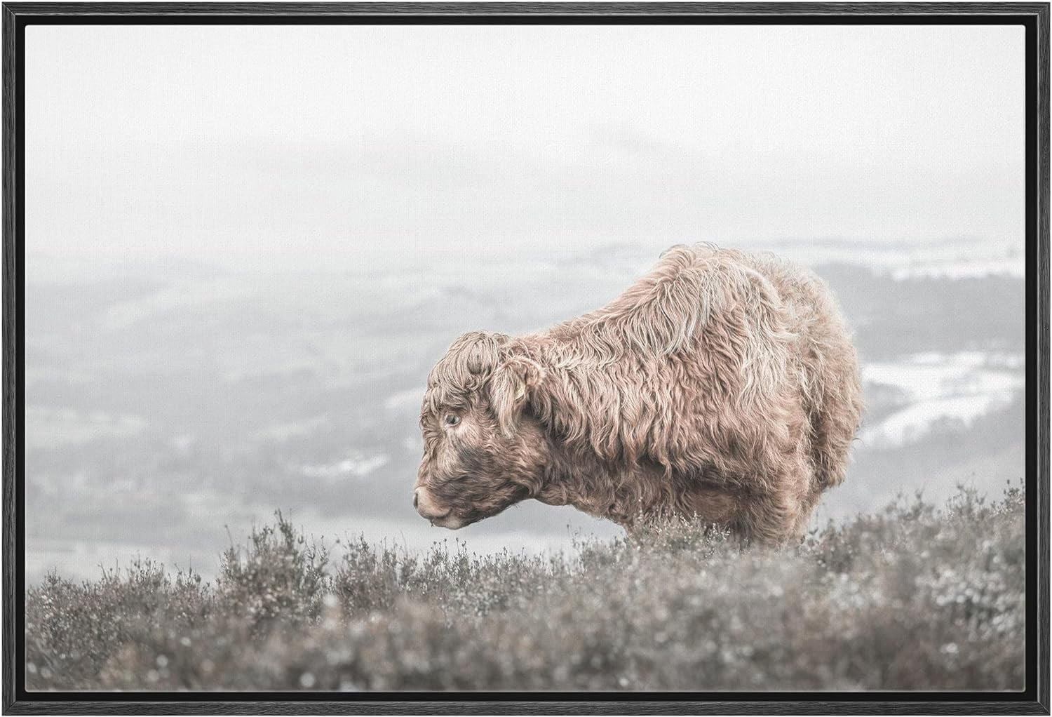Wall26 Canvas Print Wall Art Brown Shetland Cow Countryside Nature ...