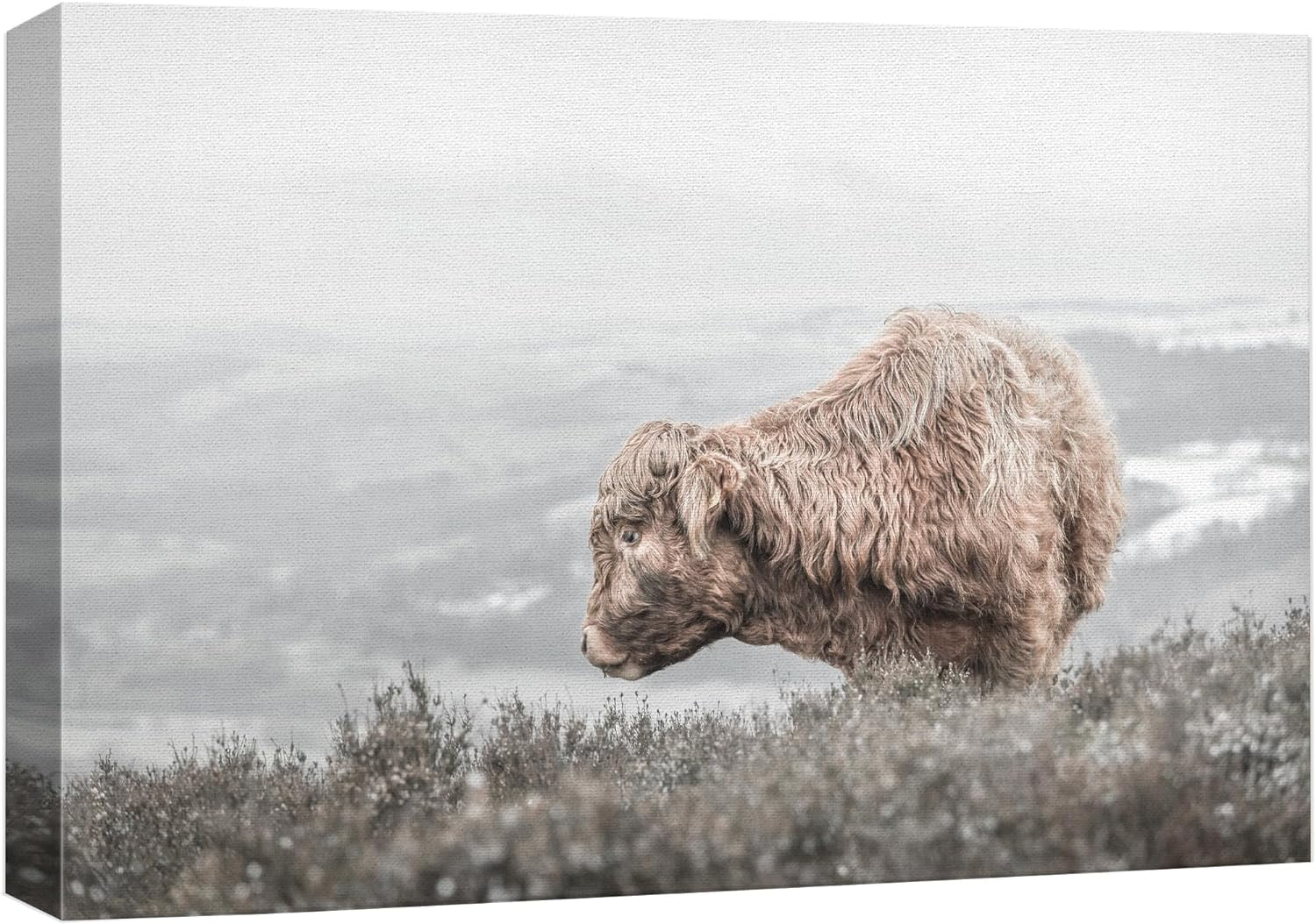 Wall26 Canvas Print Wall Art Brown Shetland Cow Countryside Nature ...