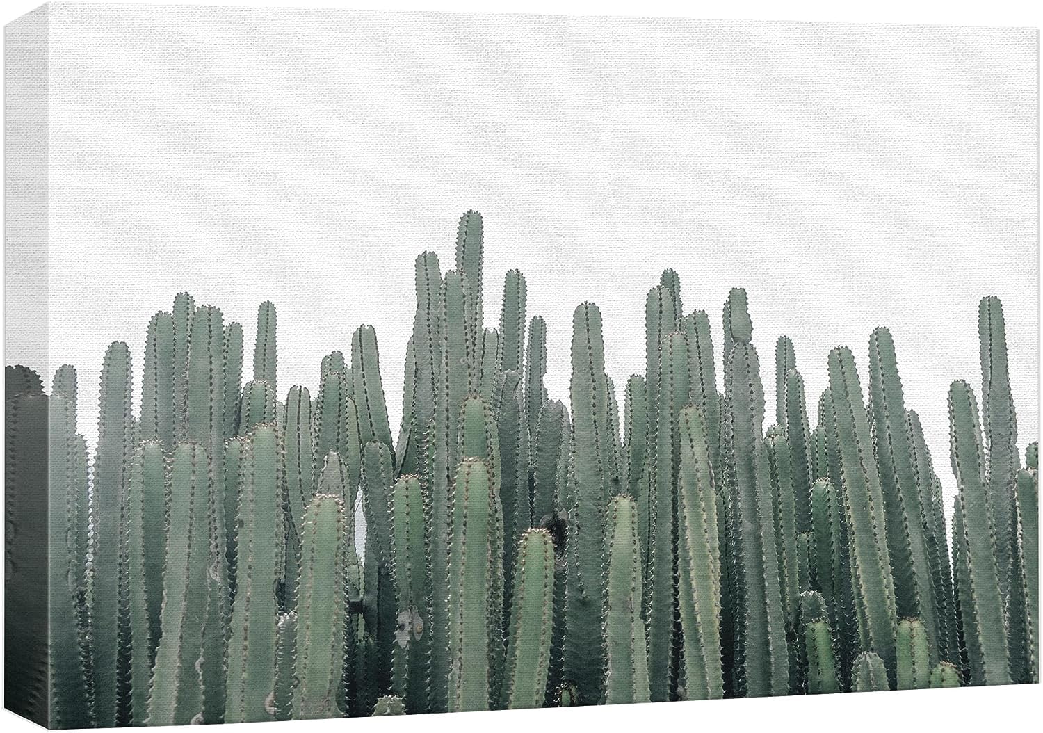Wall26 Canvas Print Wall Art Saguaro Cactus Succulents Plants Print ...