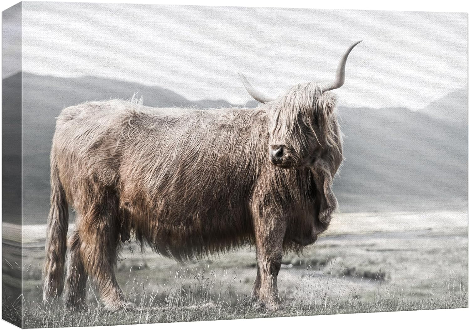 Wall26 Canvas Print Wall Art Shetland Cow in Mountain Range Nature ...