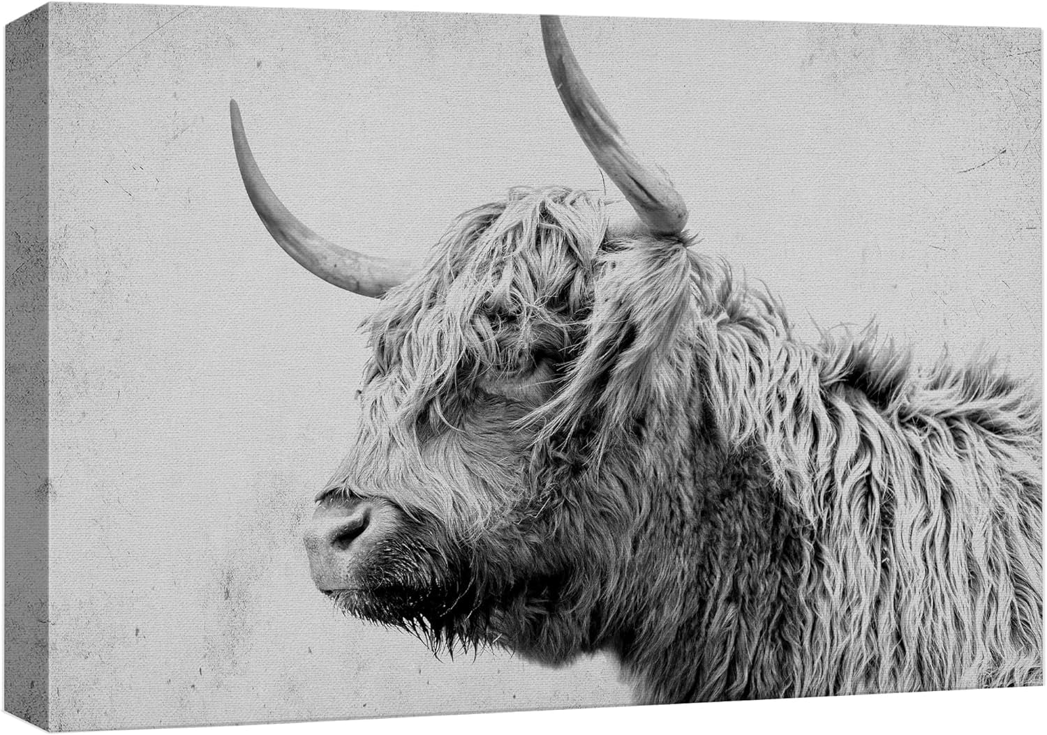 Wall26 Canvas Print Wall Art Side Profile Farmhouse Shetland Cow Nature ...