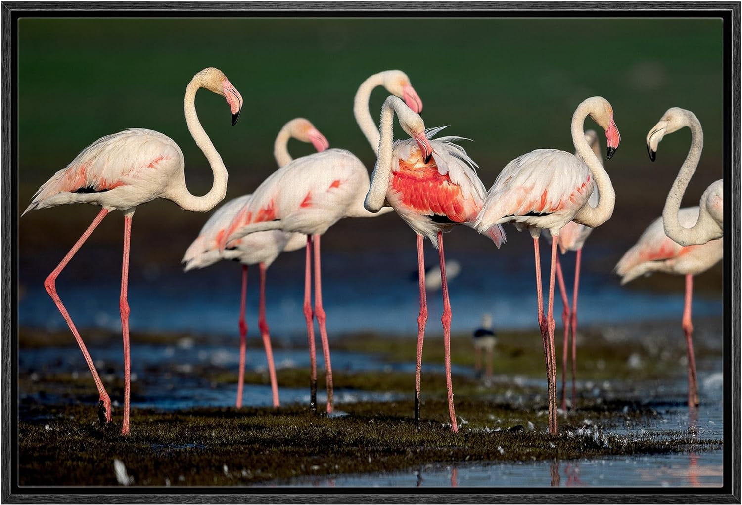 Wall26 Canvas Print Wall Art Vibrant Pink Flamingos Safari Jungle ...
