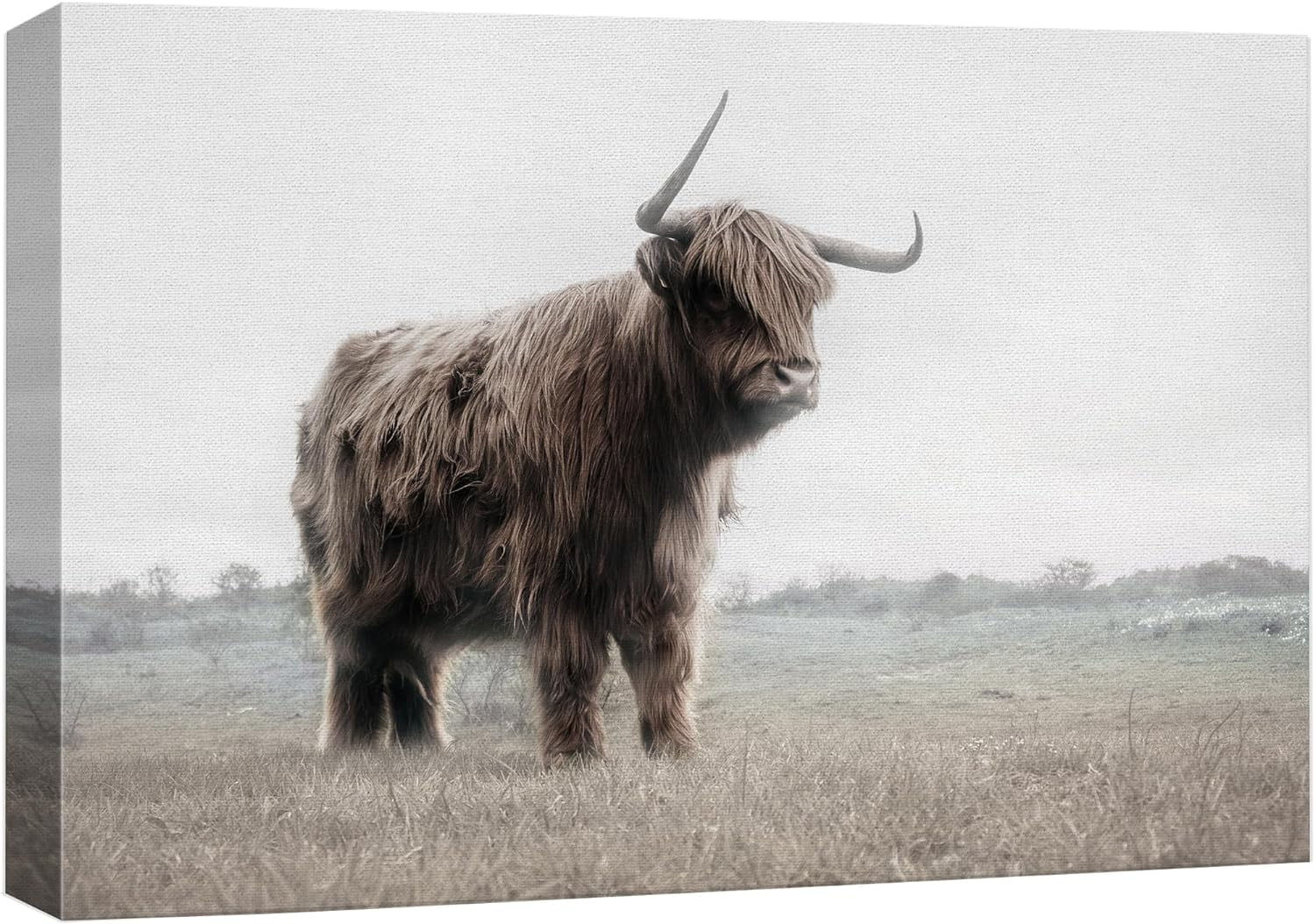Wall26 Canvas Print Wall Art Washed Out Landscape Shetland Cow Nature ...