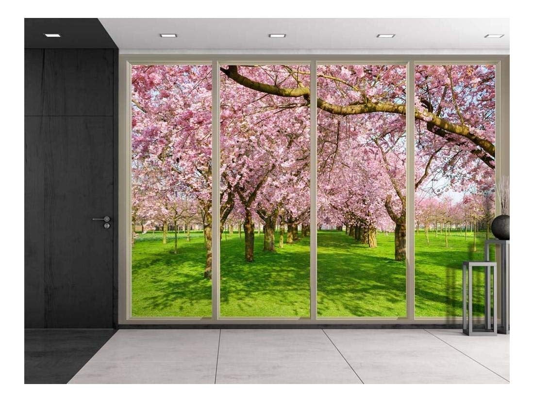 Wall26 - Rows of Pink Cherry Blossom Trees Over Green Grass Viewed from ...