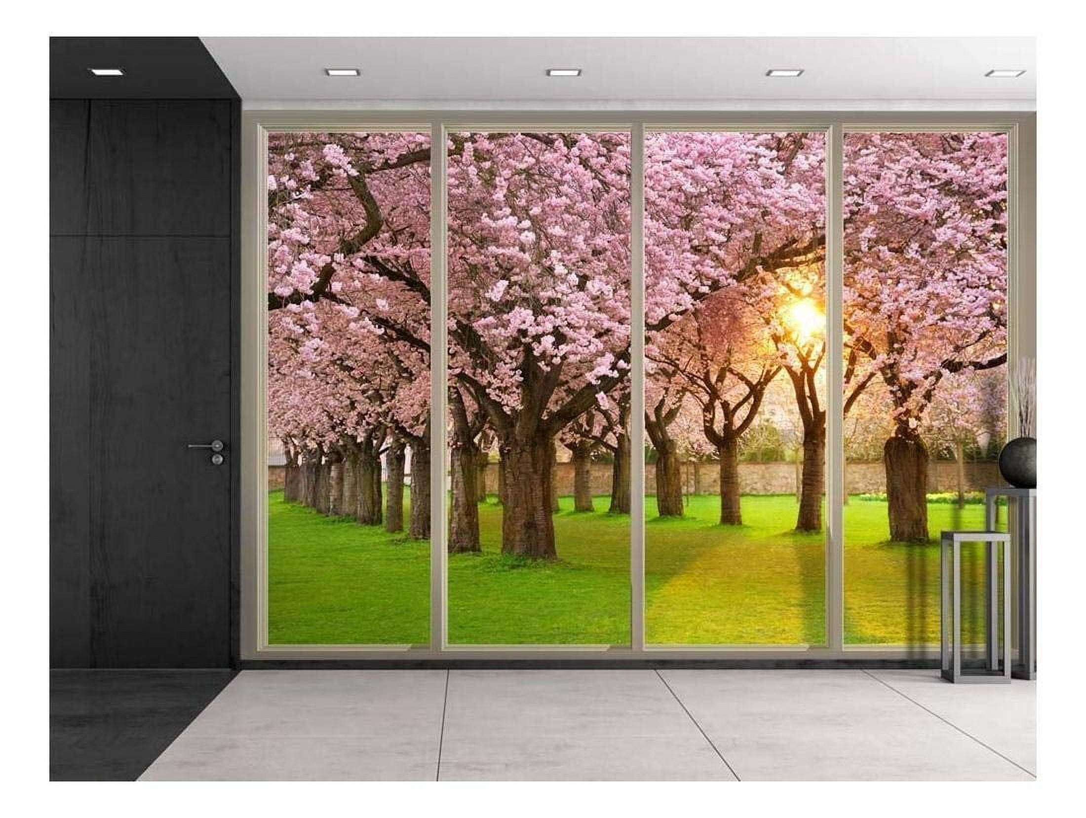 Wall26 - Sun Shining Through Rows of Pink Cherry Blossom Trees Viewed ...