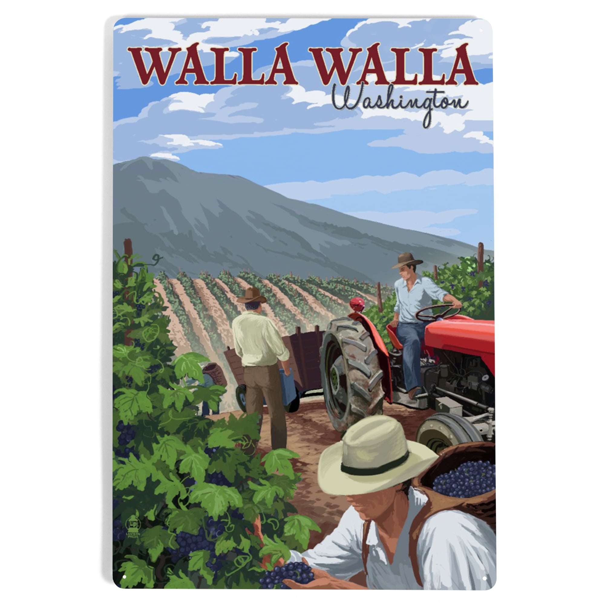 Walla Walla, Washington, Wine Grape Harvest (12x18 Aluminum Art, Indoor ...