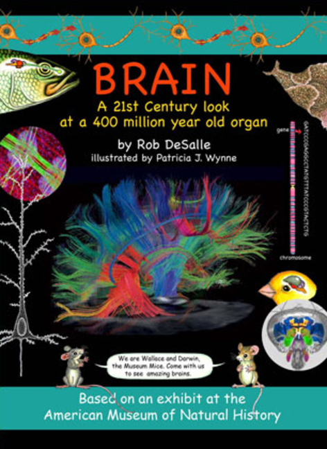 Wallace and Darwin: Brain : A 21st Century Look at a 400 Million Year ...