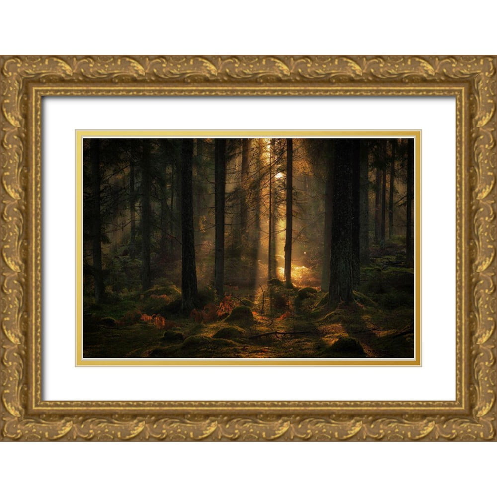 Wallberg, Allan 14x11 Gold Ornate Wood Framed with Double Matting ...