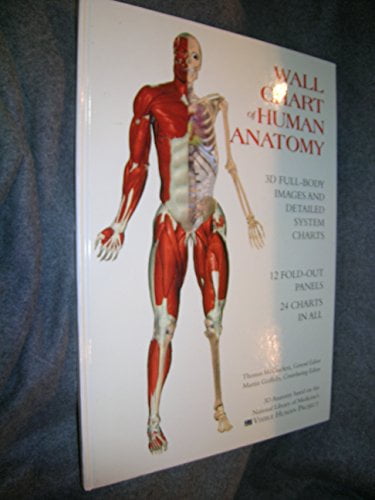 Pre-Owned Wallchart of Human Anatomy: 3 D Full-Body Images, Detailed ...