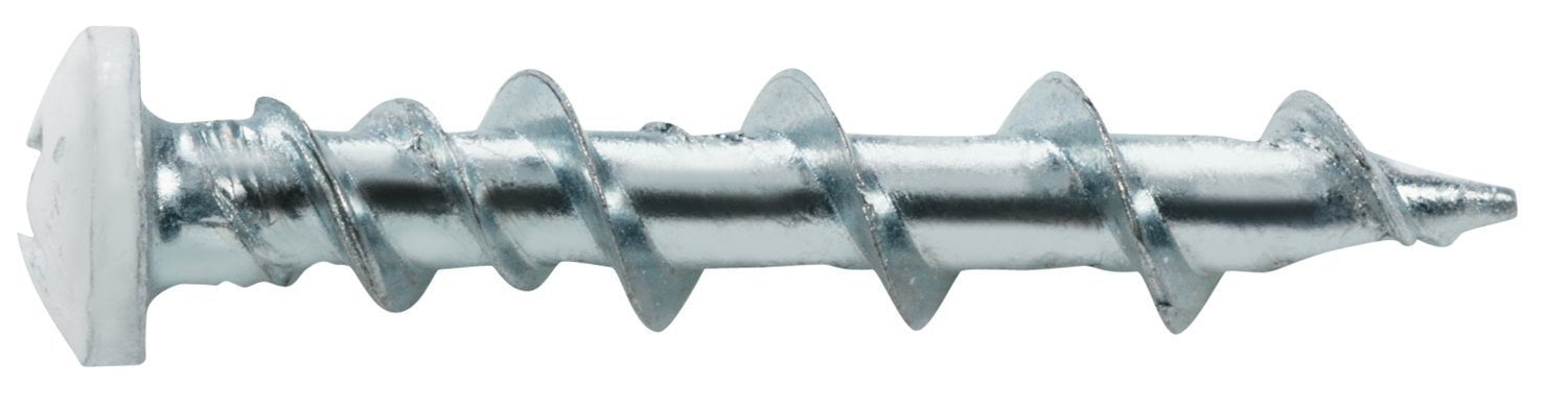 Walldog - Walmart.com