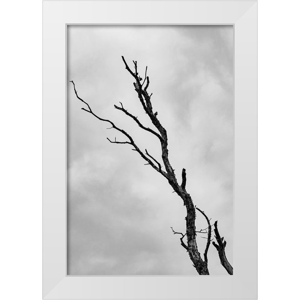 Wallenstein, Nicolau 11x14 White Modern Wood Framed Museum Art Print ...