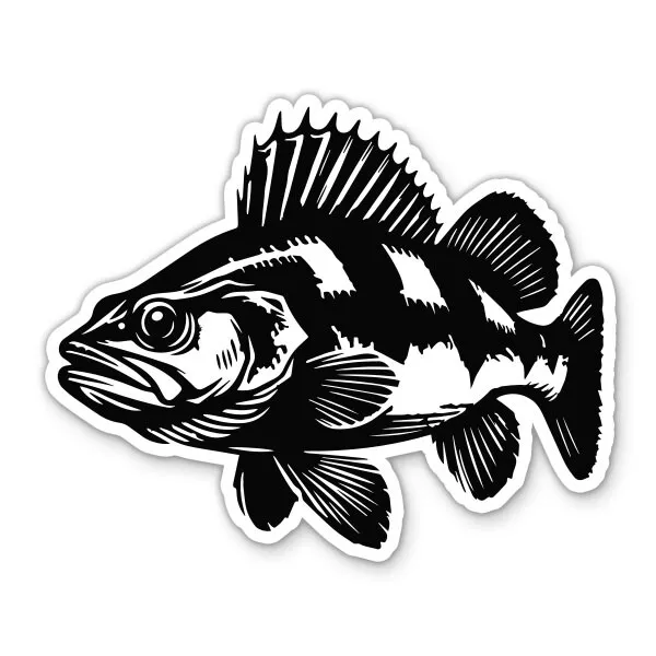 Walleye Fish Sticker Phone Decal Water Bottle Stickers Car Decals ...