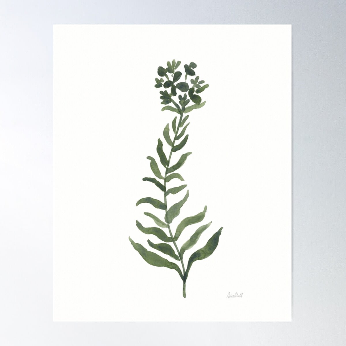 Wallflower Plant - Watercolor Monochrome In Natural Green Poster Wall ...