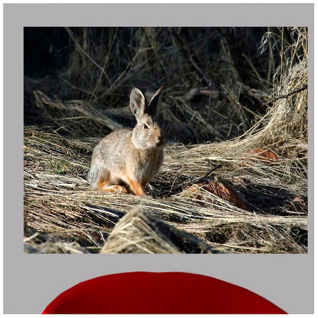 Wallhogs Batie Cottontail Wall Mural - Walmart Business Supplies