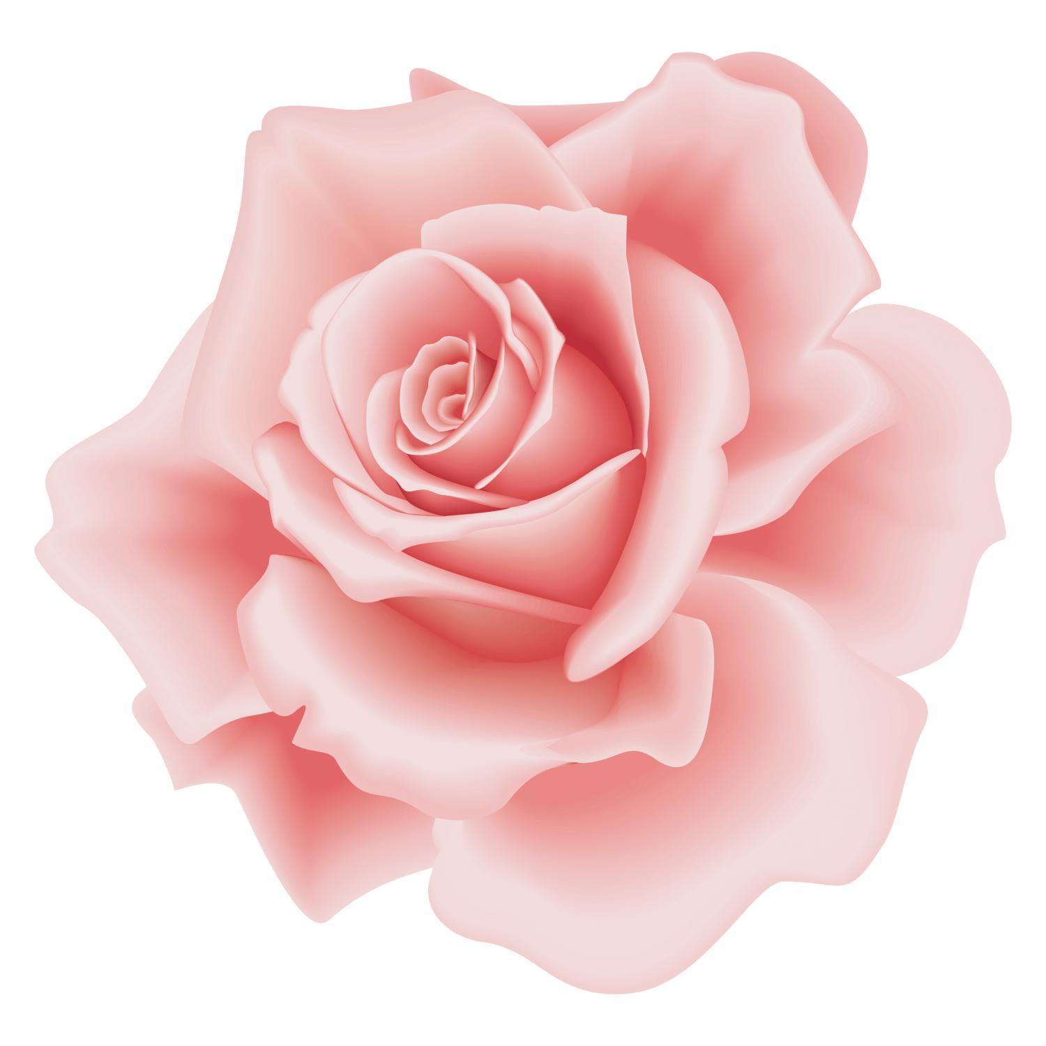Wallmonkeys Flower Decals - Pink Rose Peel and Stick Wall Decals ...