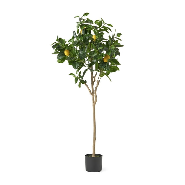 Free Shipping! Noble House 5' x 2' Artificial Lemon Tree Greenery ...