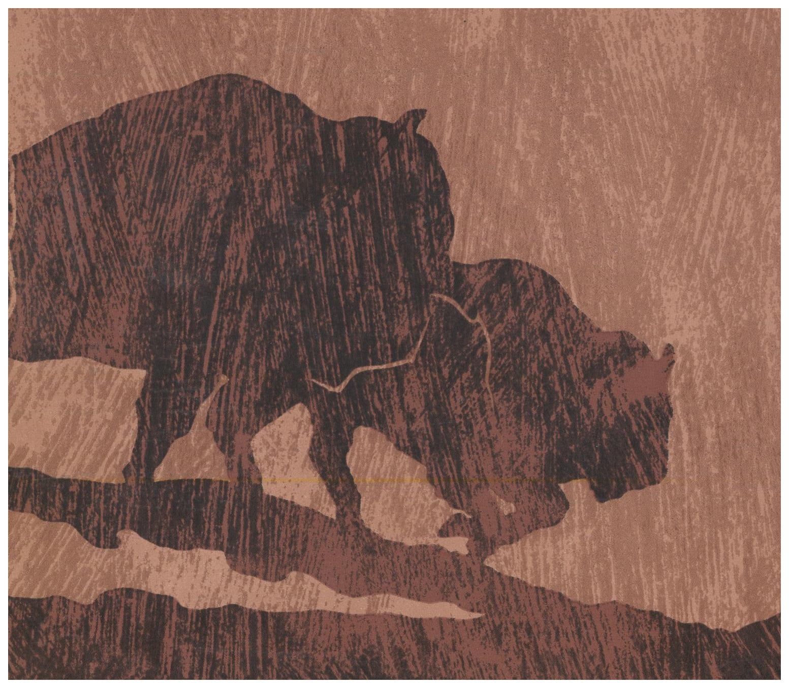 Buffalo Wallpaper Border