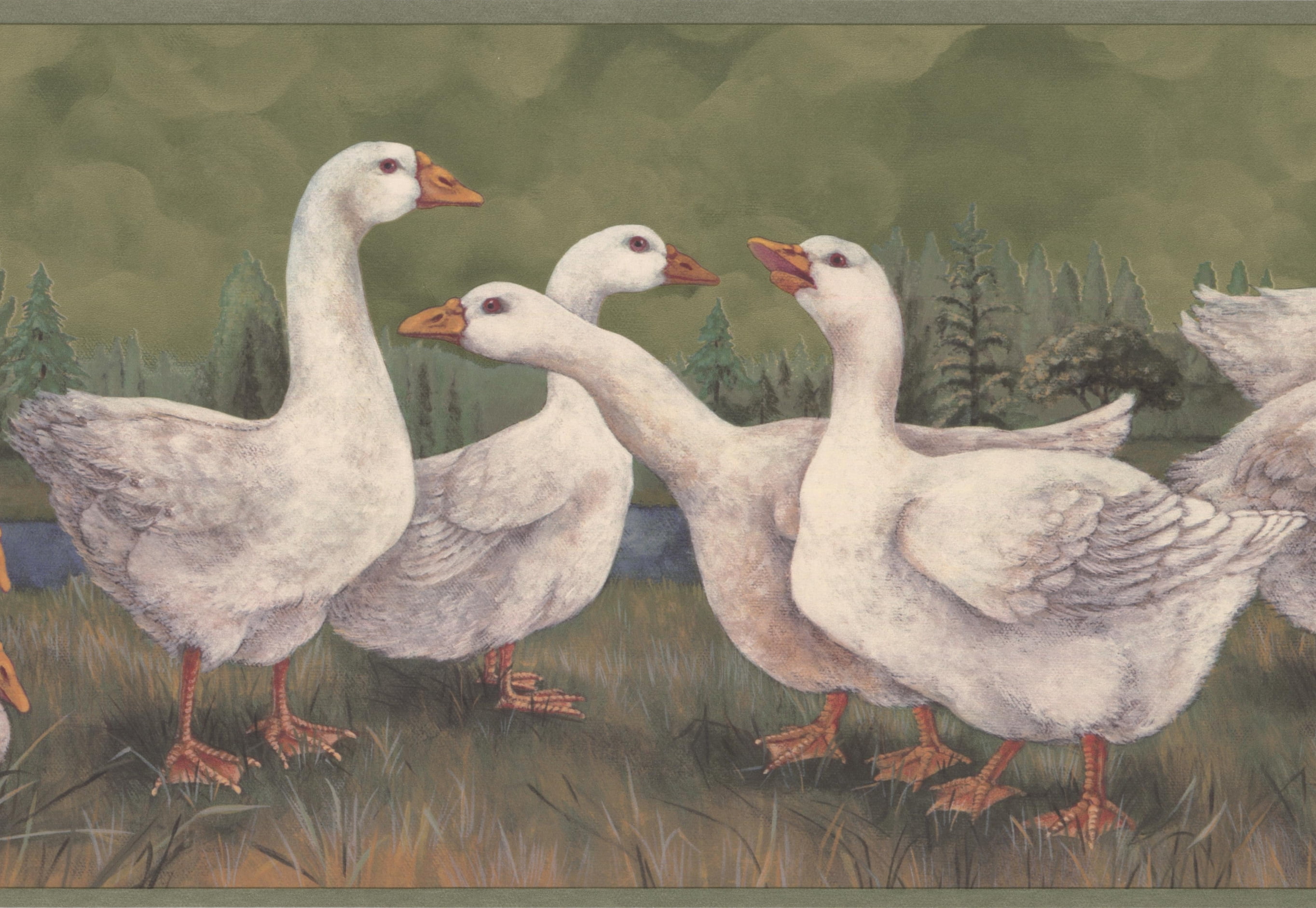 Wallpaper Border - White Ducks on River Vintage Green Wall Border Retro ...