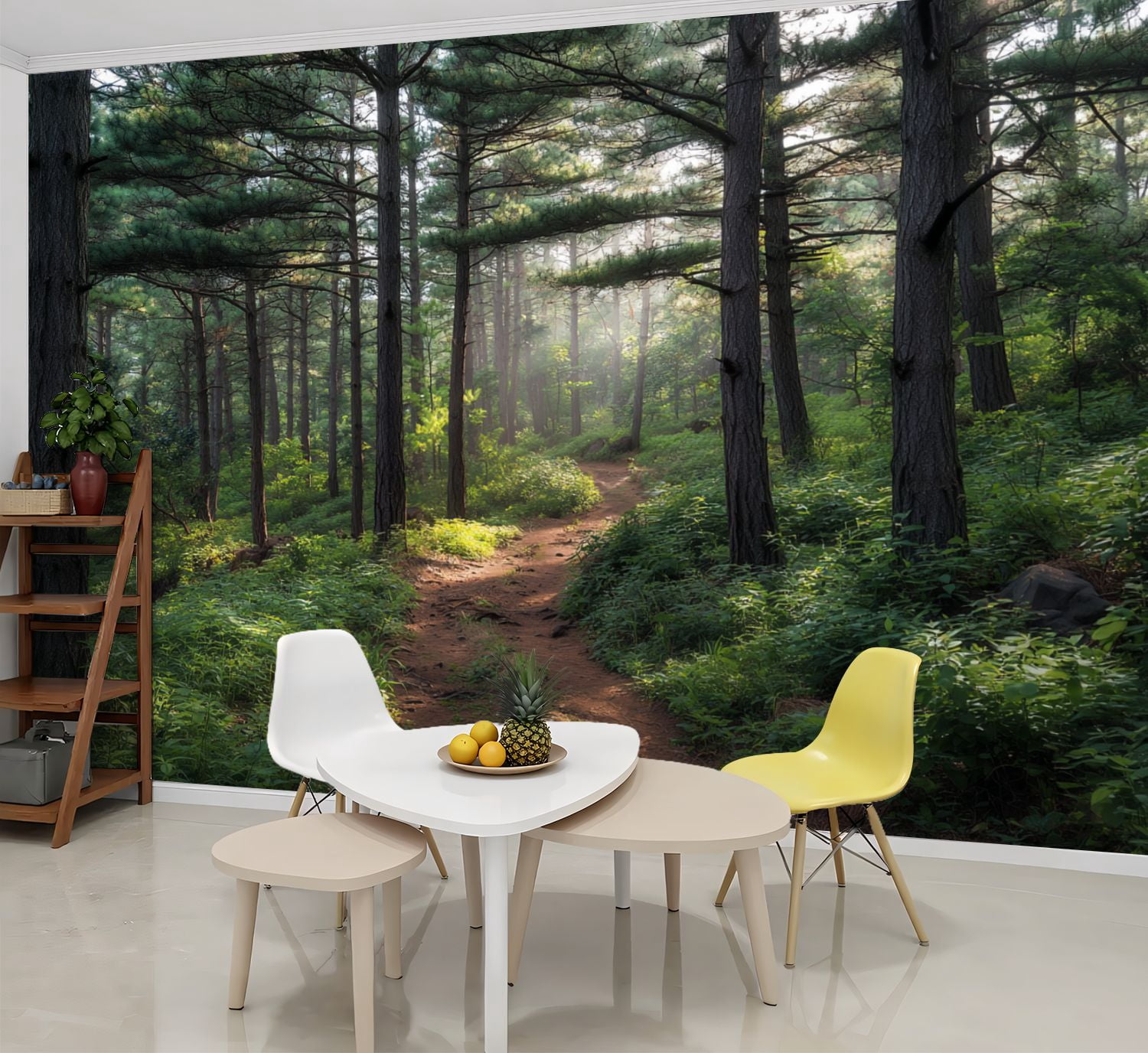 Wallpaper Green Forest Nature Landscape Sunlight Pine Trees Peel and ...